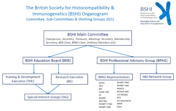 BSHI Committees